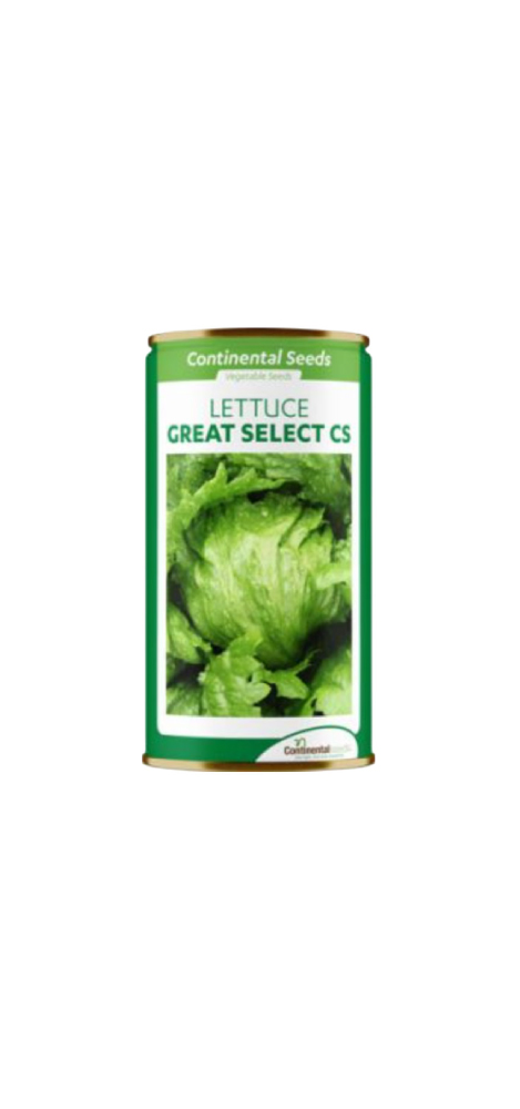 Lettuce | AgriGuard Agrovet